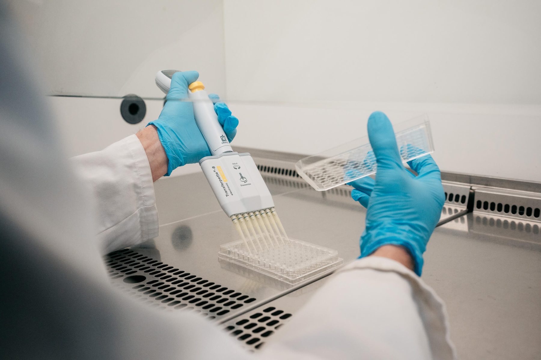 Plant extraction for the cosmetics industry | Antofénol