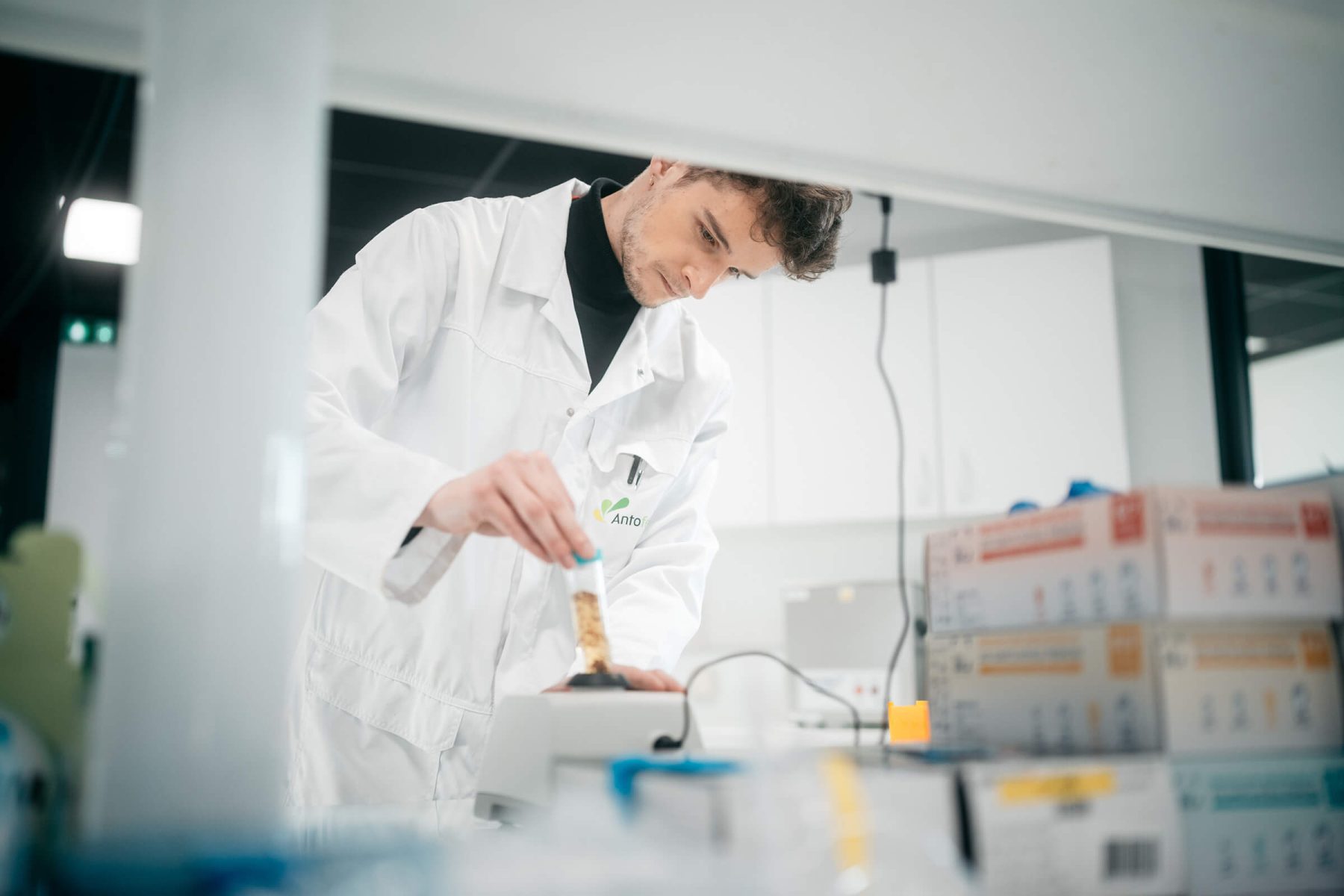 Plant extraction for the cosmetics industry | Antofénol