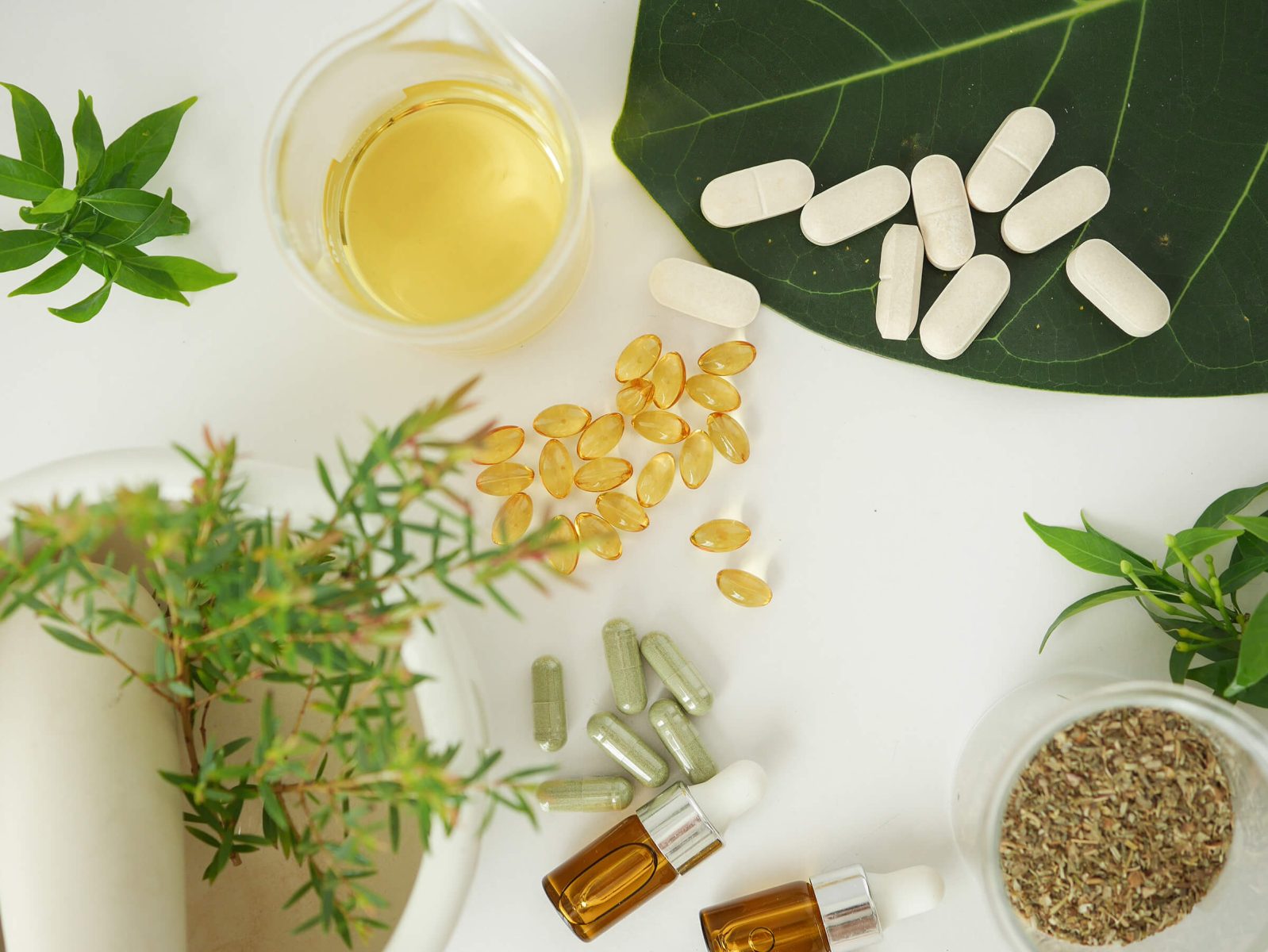 Functional ingredients – Eco-extraction solutions from Antofénol